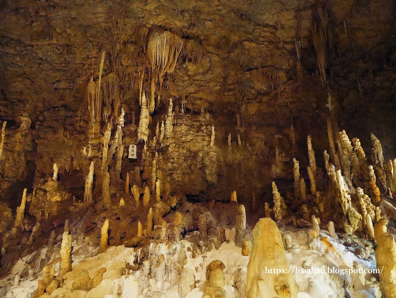 沖繩南部｜沖繩世界文化王國、玉泉洞、Gangala之谷景點攻略！