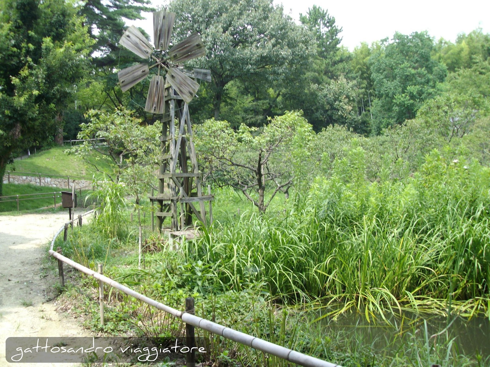 gattosandro viaggiatore - travel blog: Open-air Farm House Museum Osaka