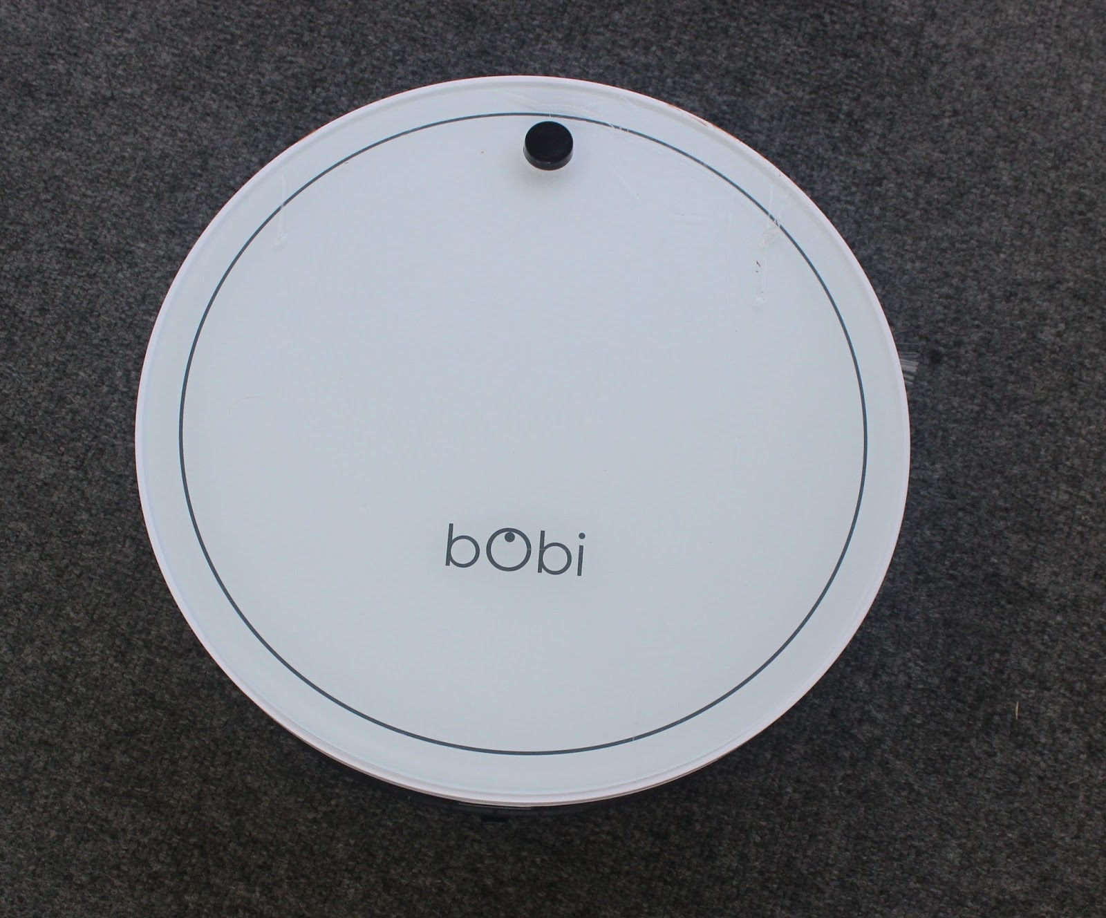 Ask Away Blog: Meet Bobi - the Newest [ROBOTIC] Member of Our Family
