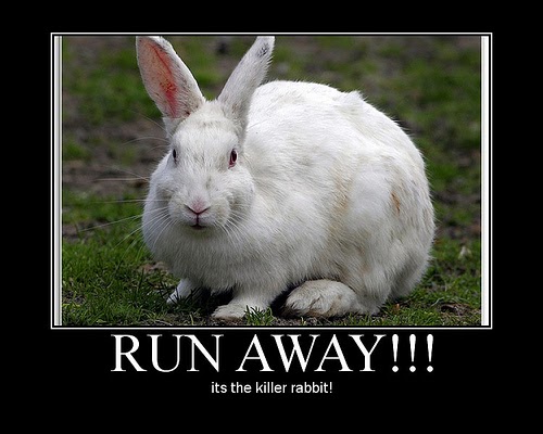 Altaclysmic: The Killer Rabbit of Caerbannog