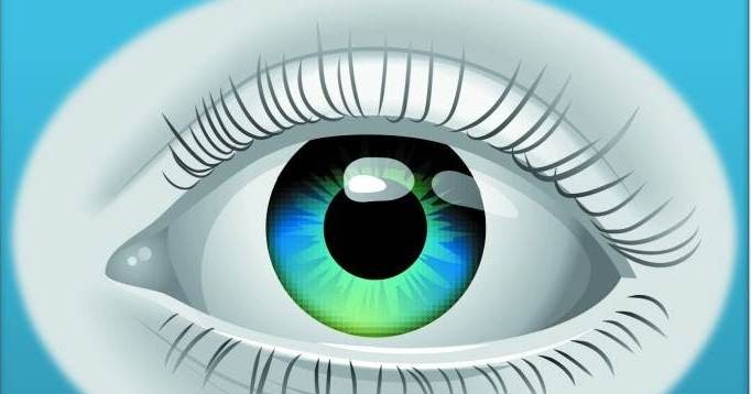 El Ojo como Fotorreceptor ~ Biopsicosalud