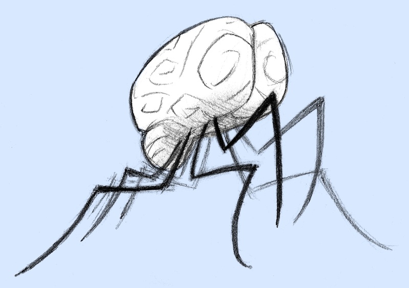 Holding Bubbles: Meet the Brain Spider