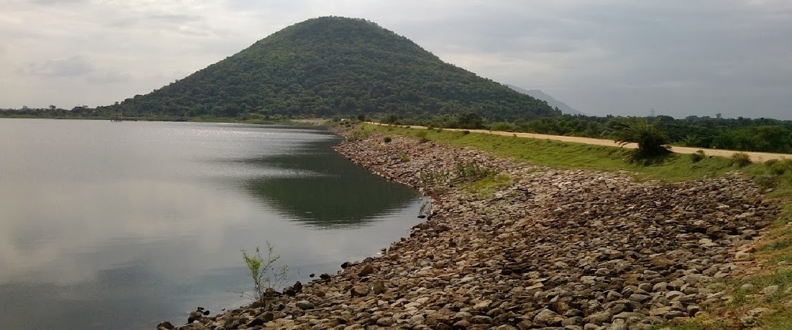 Baranti With Bashcon: Wildlife of Baranti