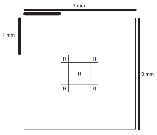 Hemacytometer ~ Hematology Lectures