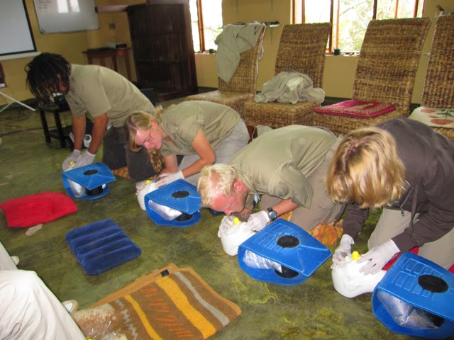 Life as a trainee field guide: Why Ulovane Environmental Training?