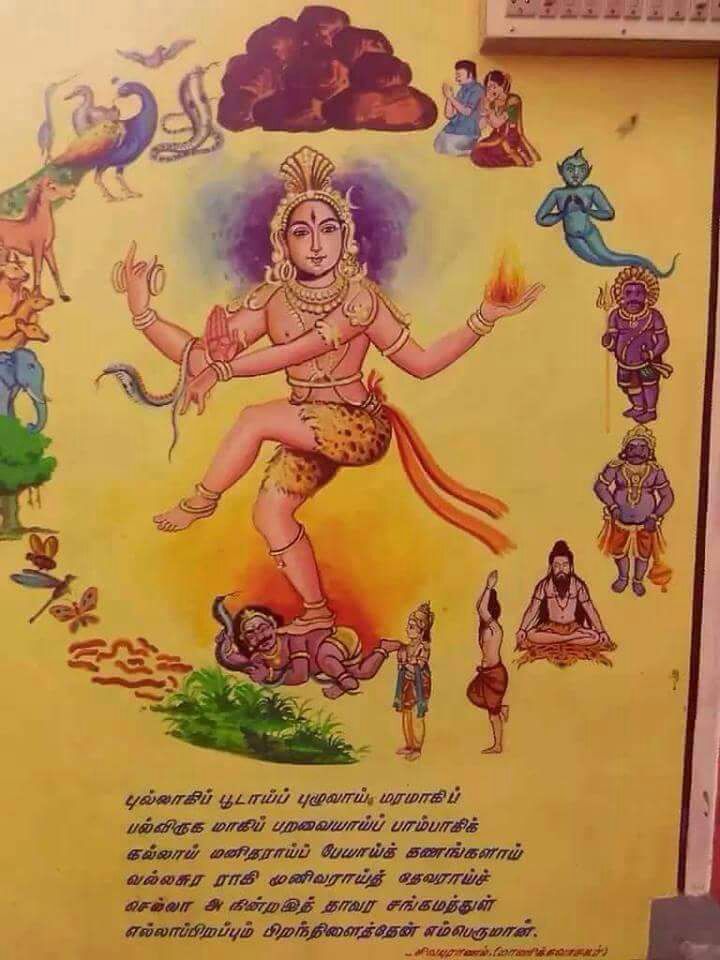 Kamesh Kumar: February 2017