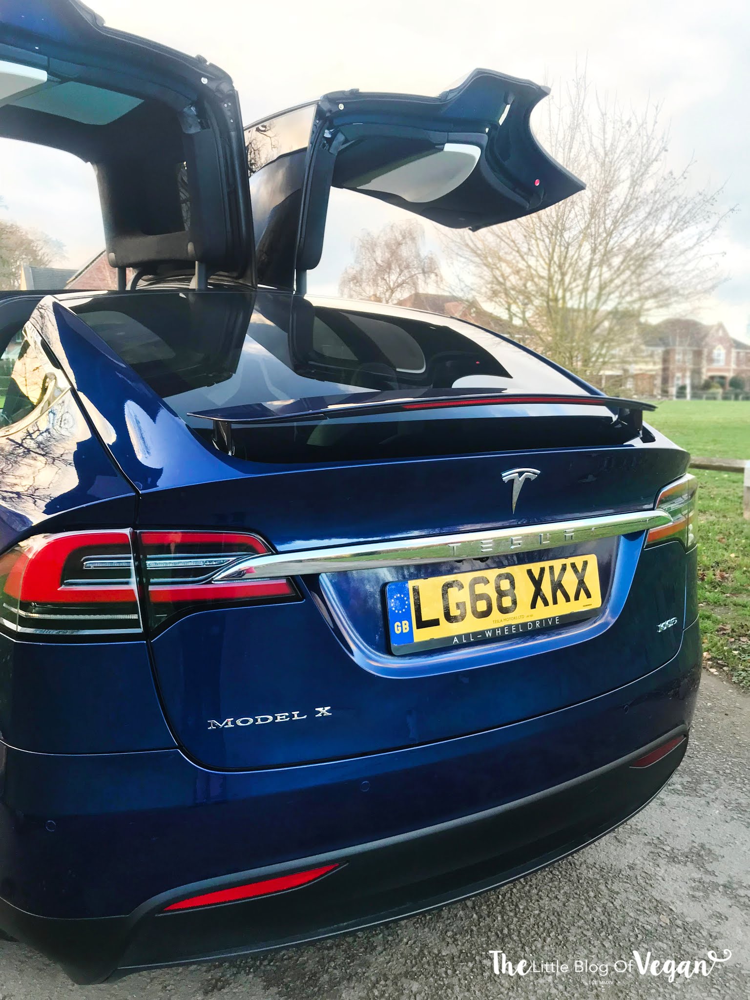 Tesla | A fully vegan car? - The Little Blog Of Vegan