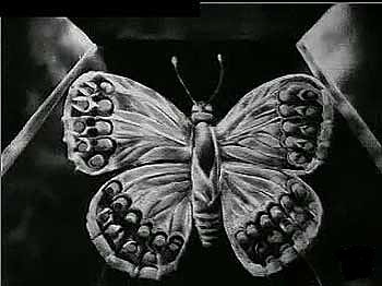 Everything about animation: Stop motion