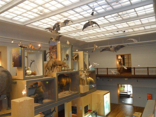 Hancock Museum, Newcastle-Upon-Tyne