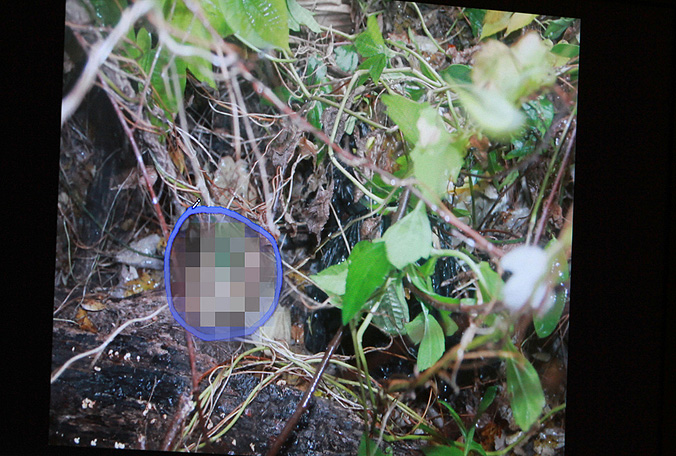 Anything about Everything: Caylee's skull and other pictures are shown