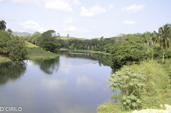 Revista El Cañero: OPERATIVO DE SIEMBRA DE ARBOLES EN LAS RIBERAS DEL ...