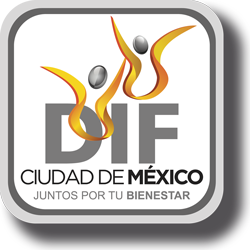 Actualiza DIF-DF 10 mil 800 tarjetas de personas con discapacidad - Al ...