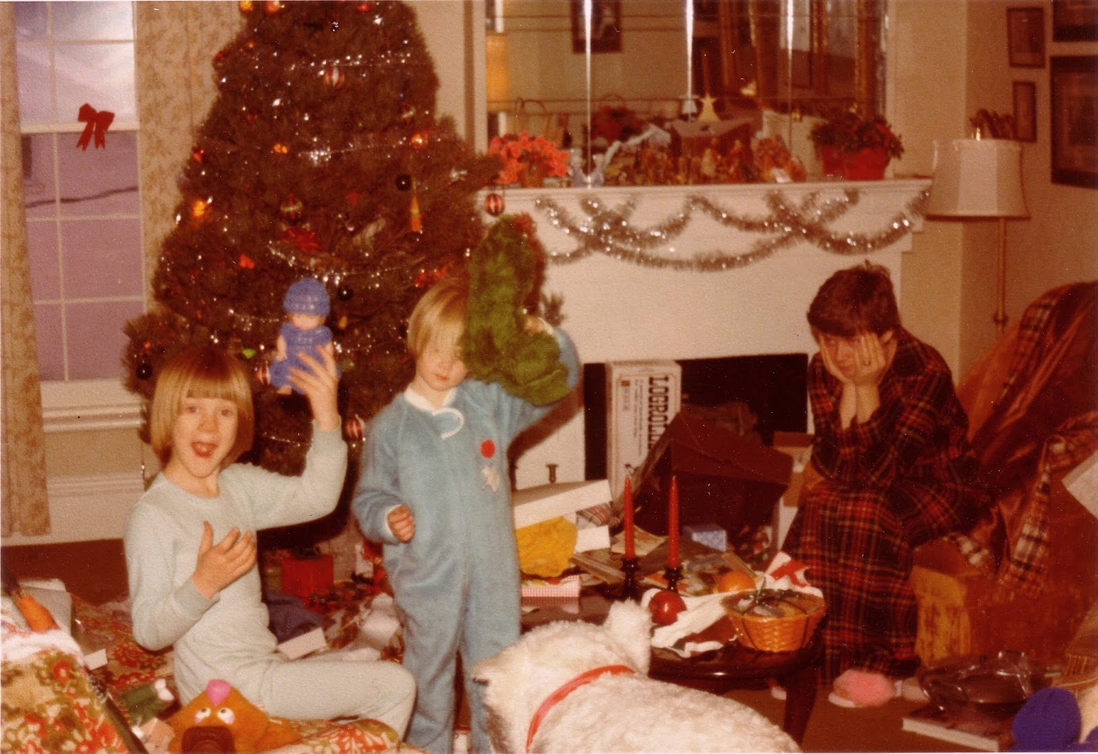 Field Notes ~ Cumberland County, Nova Scotia: Merry Christmas Past and ...