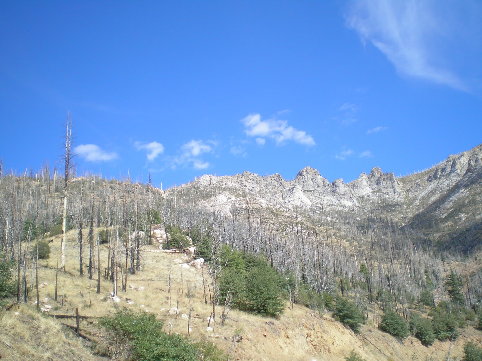 The Road Genealogist: Sherman Pass, CA - Best View of the Sierra Passes