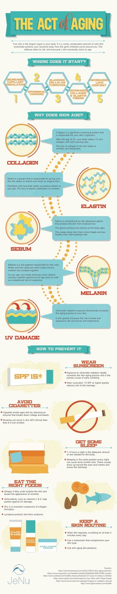 Skinny Diva Beauty: How Does Skin Age? The Act of Aging [Infographic]
