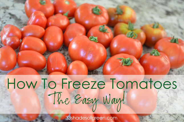 33 Shades of Green: How to Freeze Tomatoes - The Easy Way!
