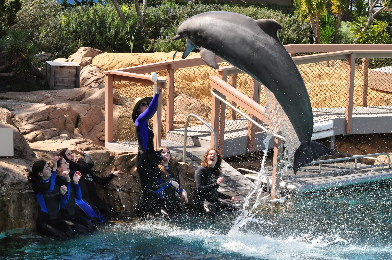 The Photography of Rigo