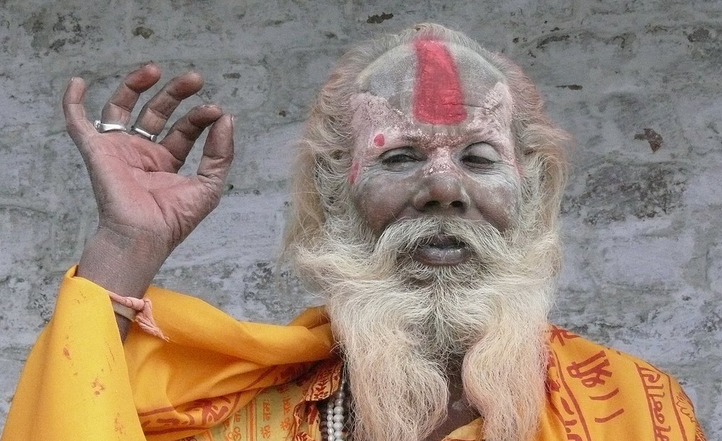 DE LOS PATER, MENDAZA Y OTRAS HIERBAS: UN YOGUI EN LA BERRUEZA