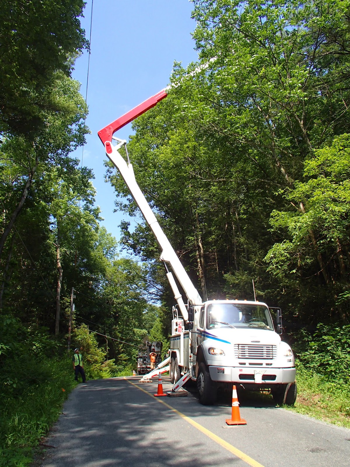 The Broad-winged Hawk Project: June 2014