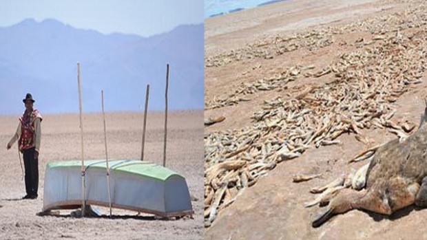 Observatorio Boliviano de los Recursos Naturales: LAGO POOPÓ: Revive el ...