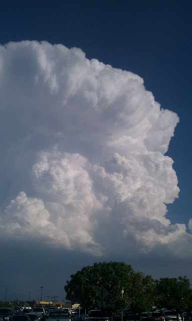 Travis Erwin: Super Cells, Bacony Smells, and Horny as Hell