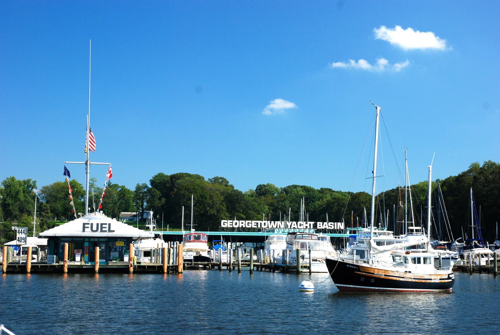 Oasis's Journey: Cohansey River, NJ to Georgetown, MD