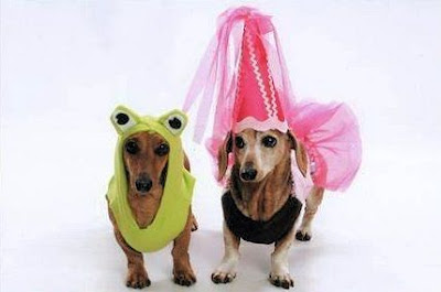 The Long and Short of it All: A Dachshund Dog News Magazine: The ...