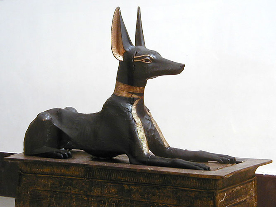 Oeil2cha: Anubis