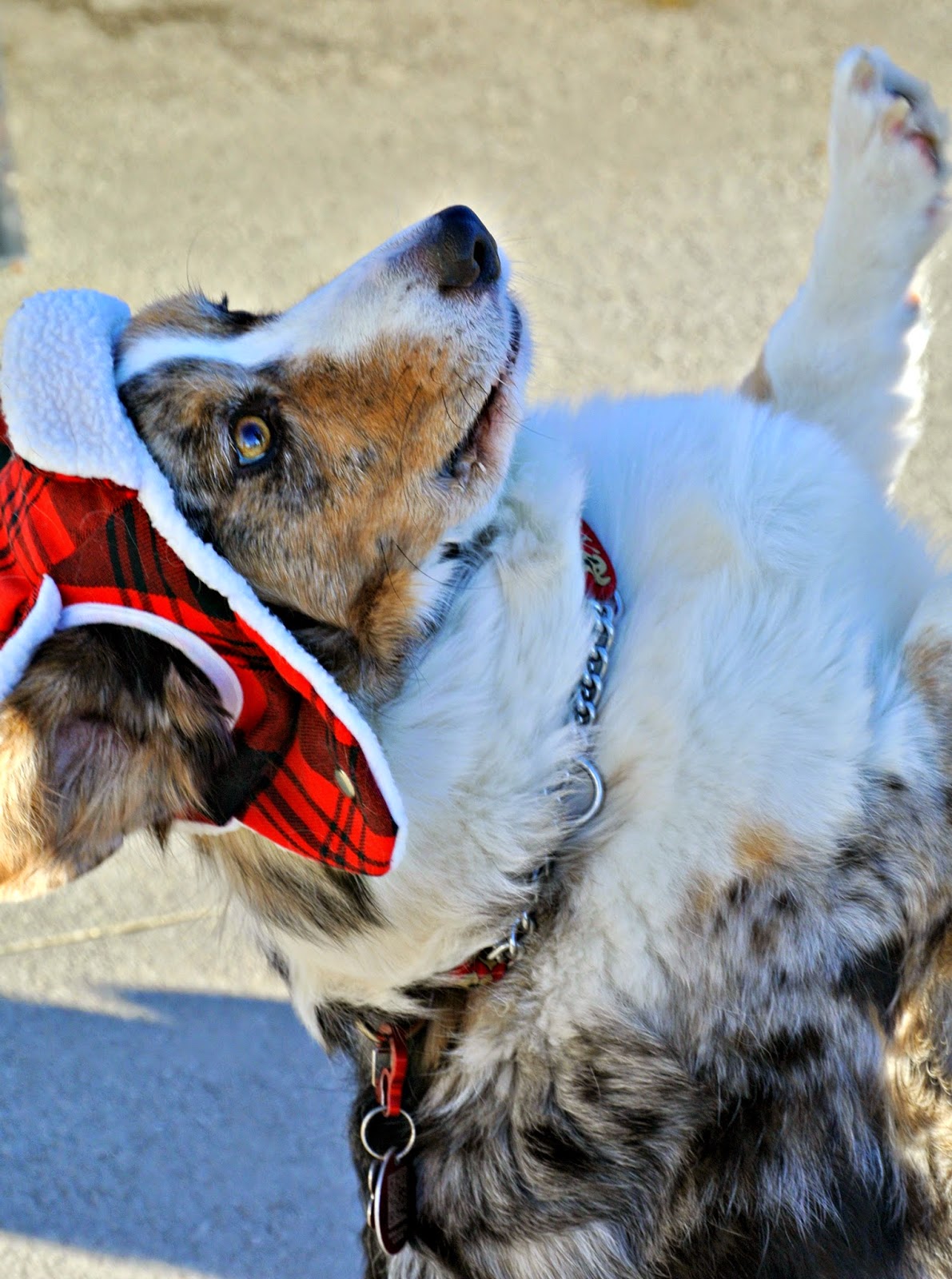 The Chronicles of Cardigan: Tacky Cardigan With Words on It, Squared ...