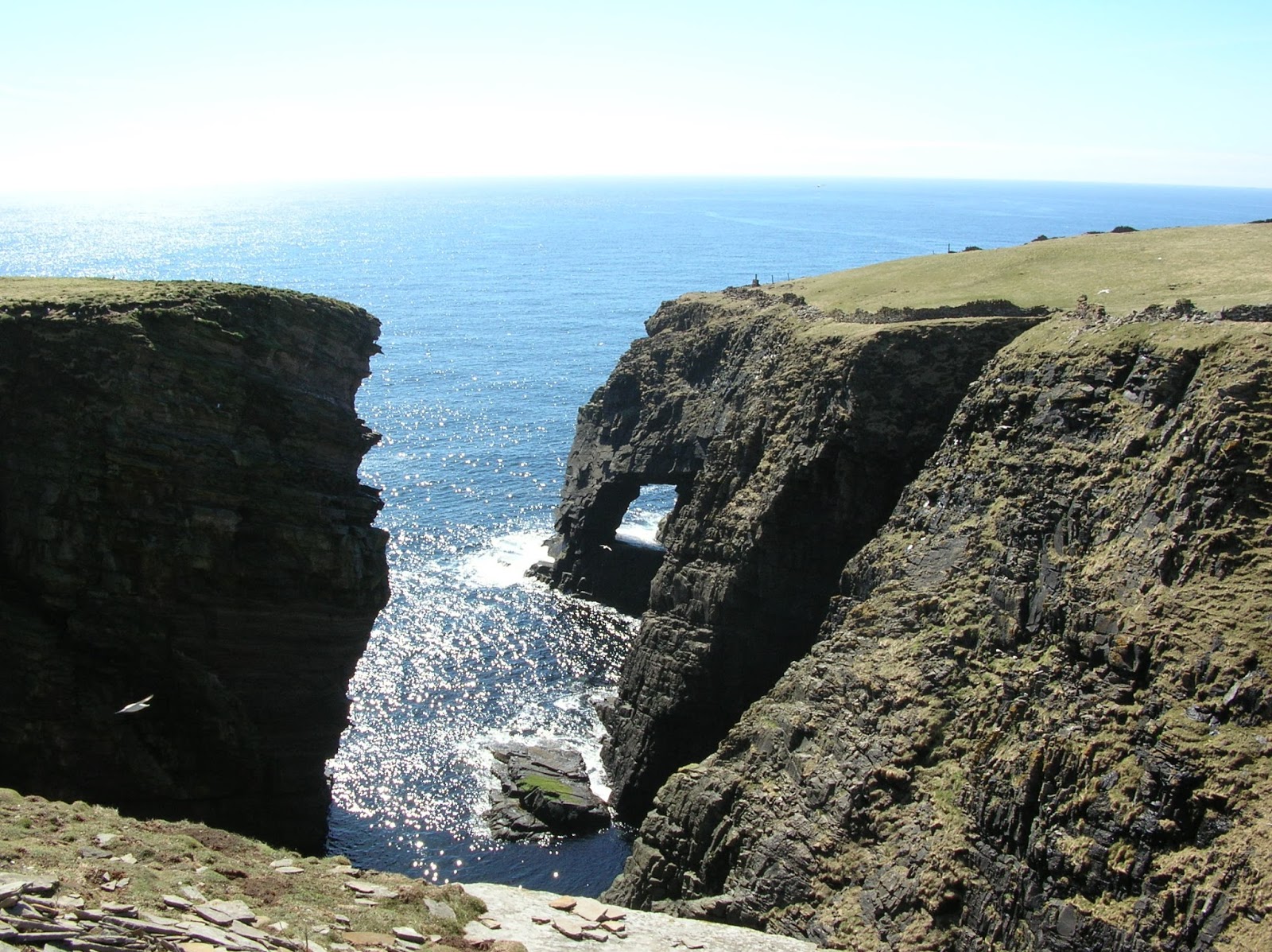 A lifetime of Islands: Island 203 - Noss, Shetland