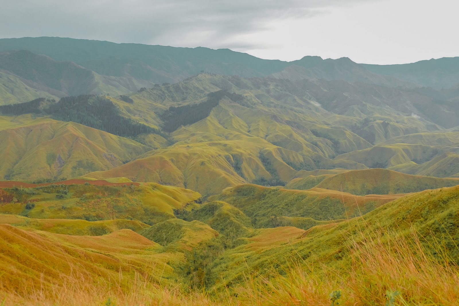 Bukidnon 2018 — Monastery of the Transfiguration and Panimahawa Ridge ...