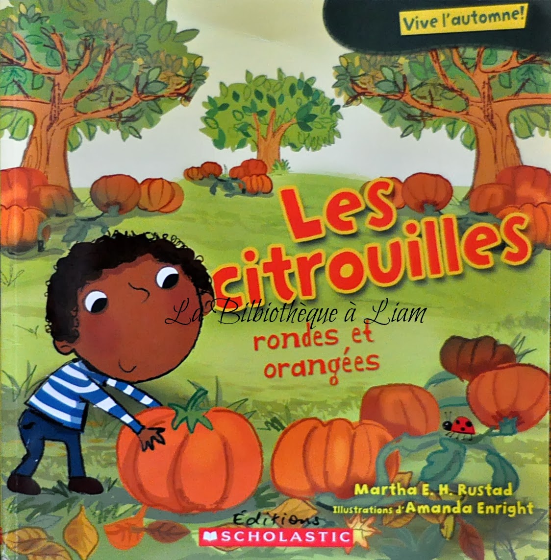 La Bibliothèque à Liam