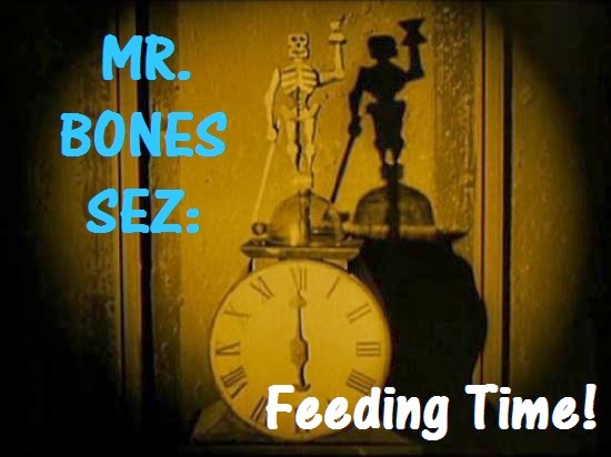 Blonder and Thinnerrr : Horror Super-Classics: Nosferatu