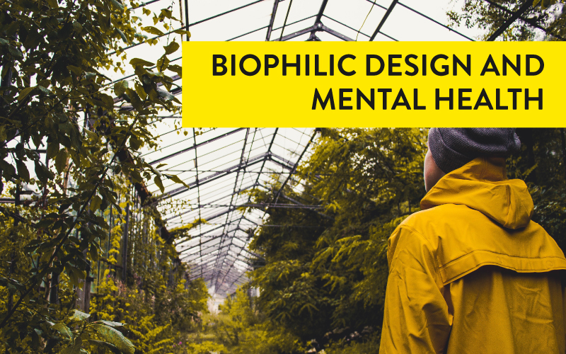 The Health Benefits of Biophilia ~ Daily Tips To Stay Healthy 24/7