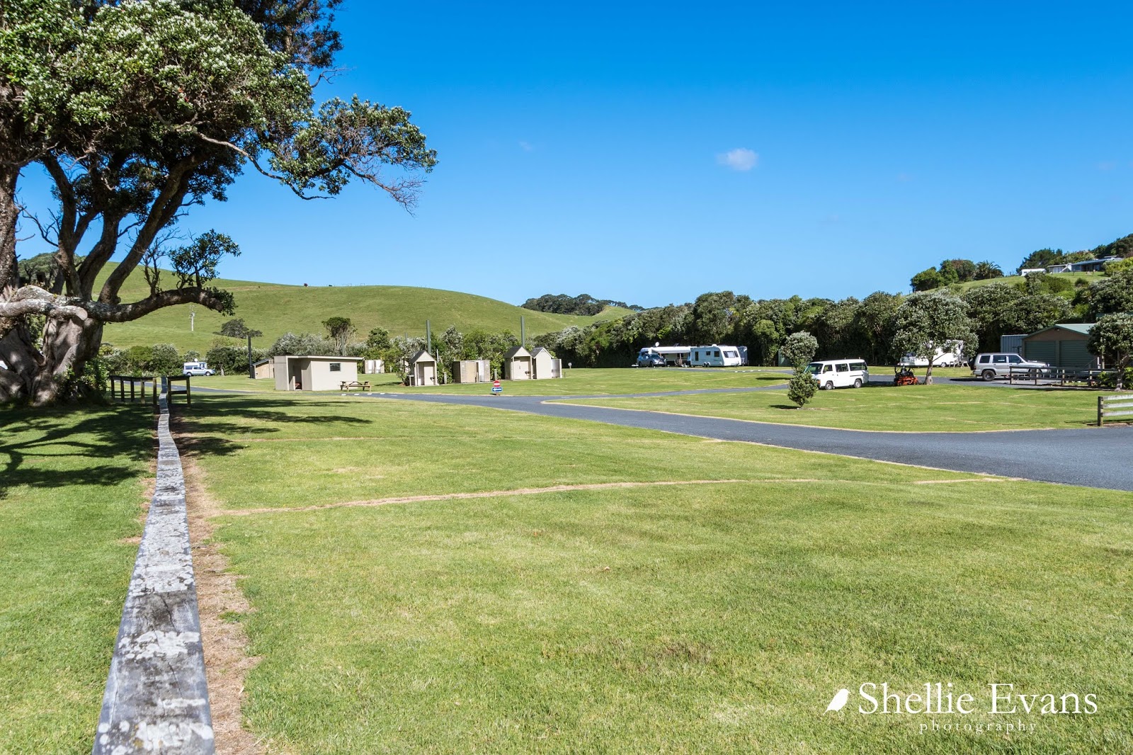 Two Go Tiki Touring: January 2019