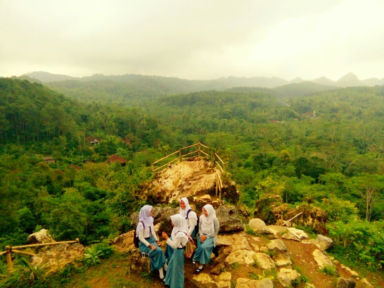 Hutan Pinus Kalilo Kaligesing, Wisata Asri di Kota Purworejo ~ Madu Gunung