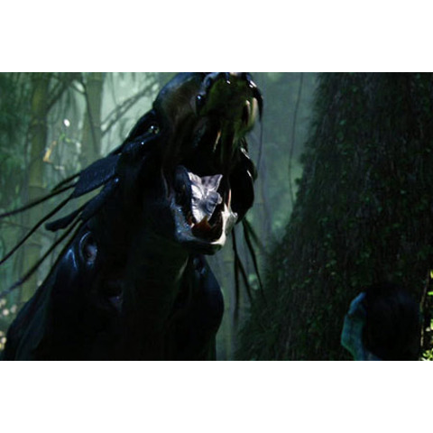 Jake Malin: Avatar directed by James Cameron