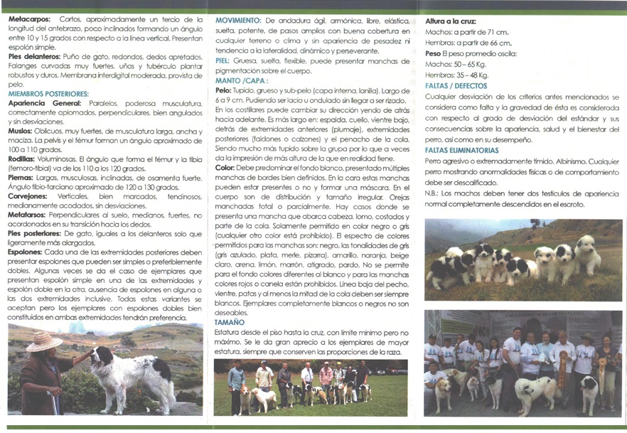 * CLUB CANINO DEL ESTADO ARAGUA *: Perro mucuchíes: Raza canina oficial ...