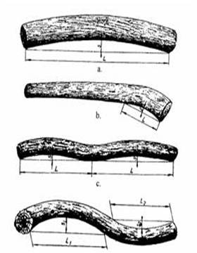 Defectele lemnului: Defecte de forma a trunchiului