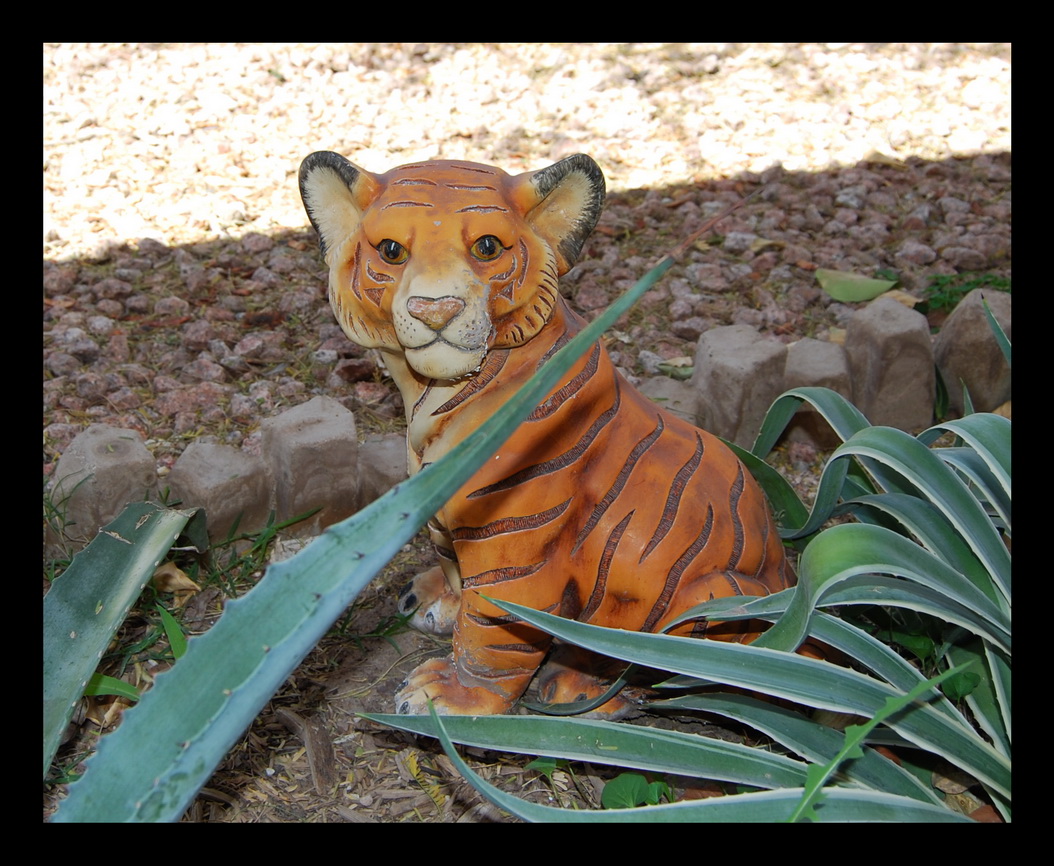 Pieces Of Me - LissC: creatures that live in my back yard