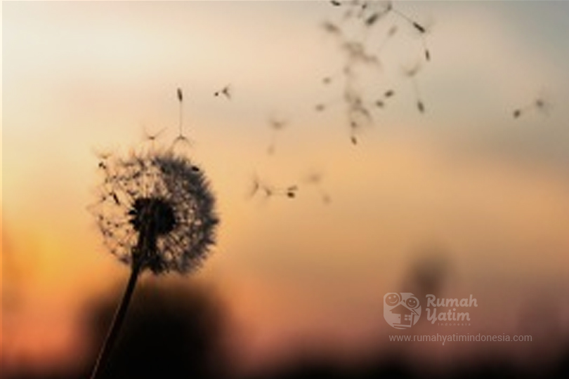 Menguatkan Keikhlasan | RUMAH YATIM INDONESIA