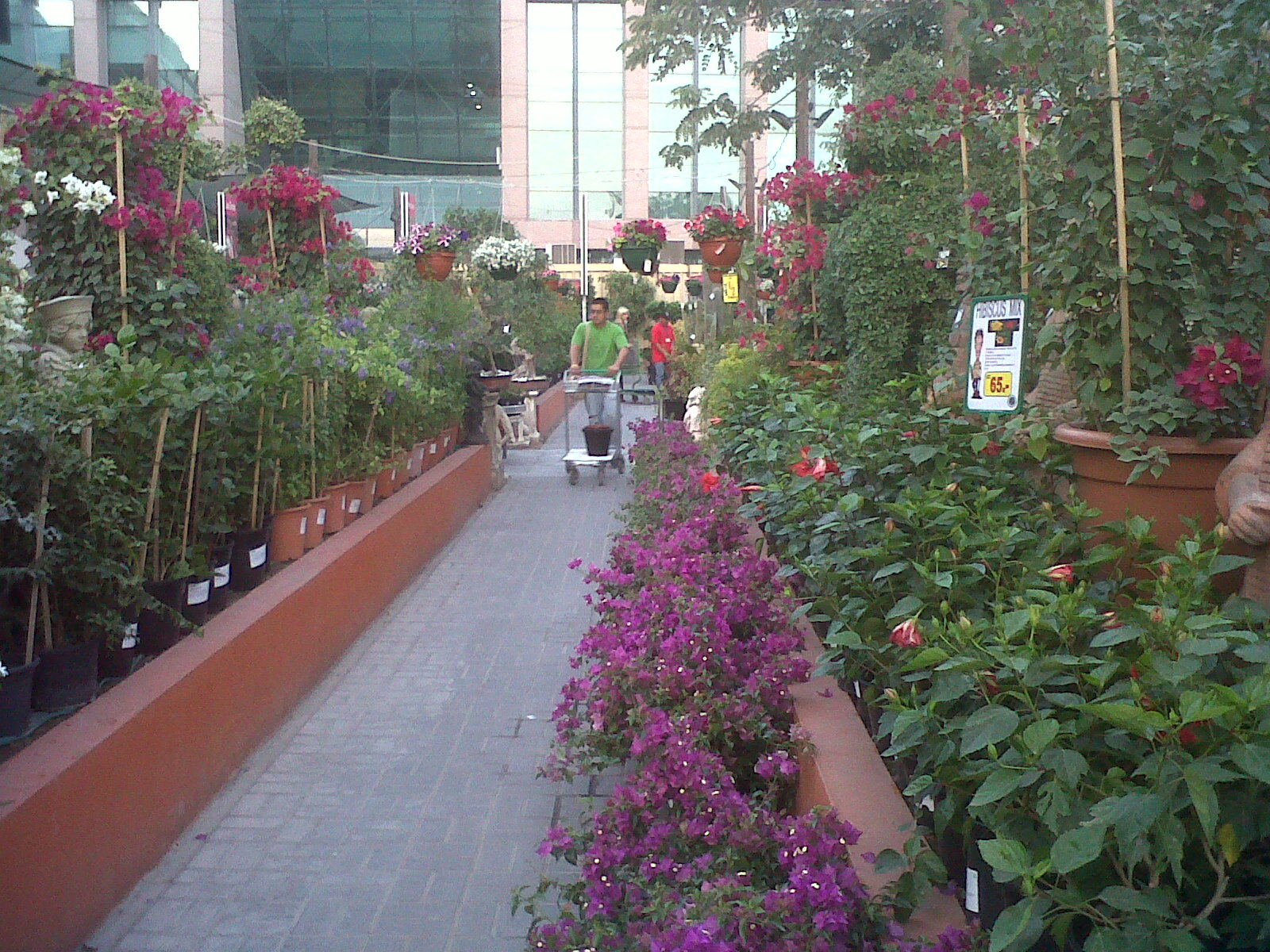 Highlights of the A-Life: Dubai Garden in SZR