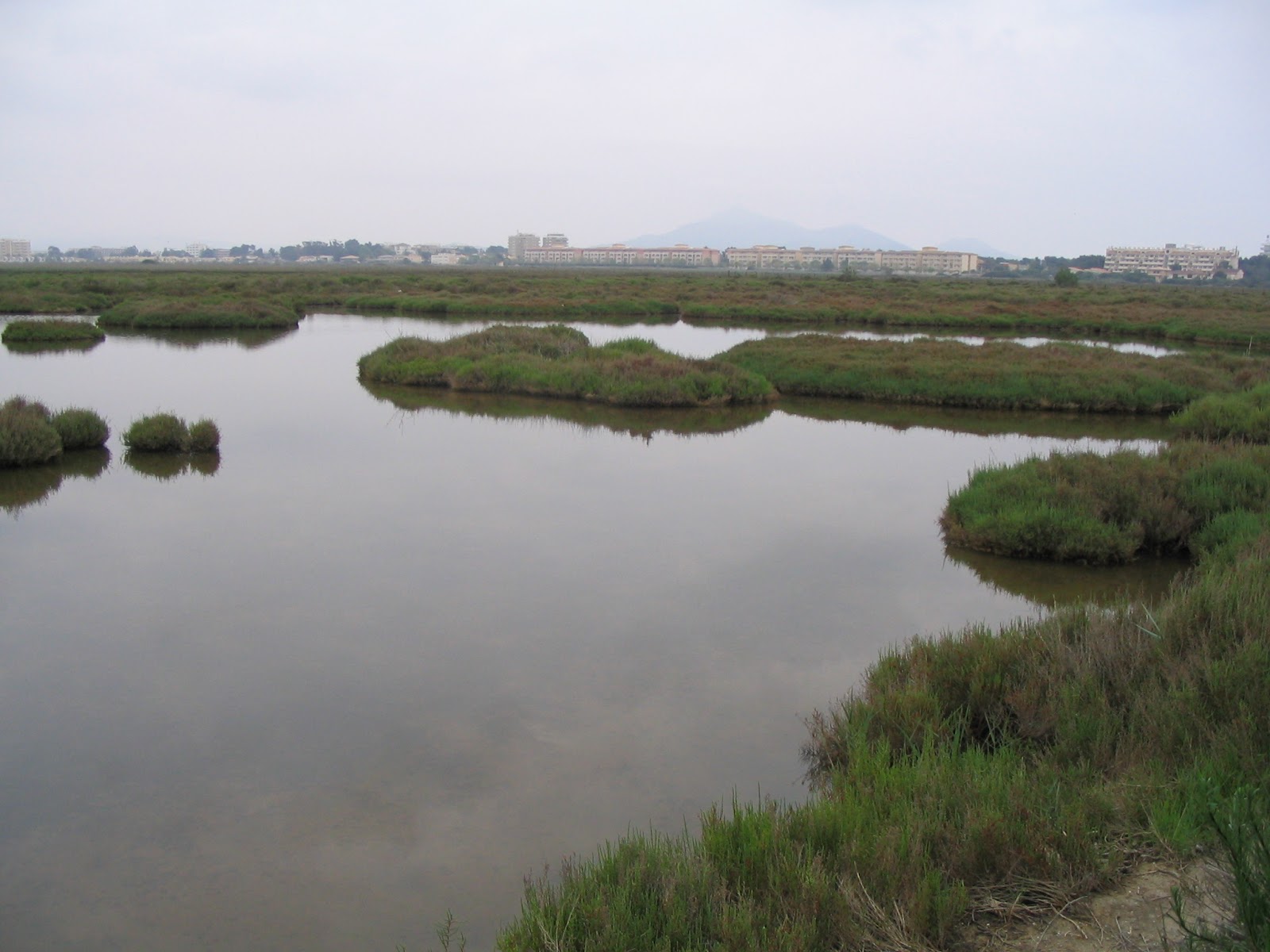 El Efímero Santuario Verde: Parc Natural de S'Albufera de Mallorca