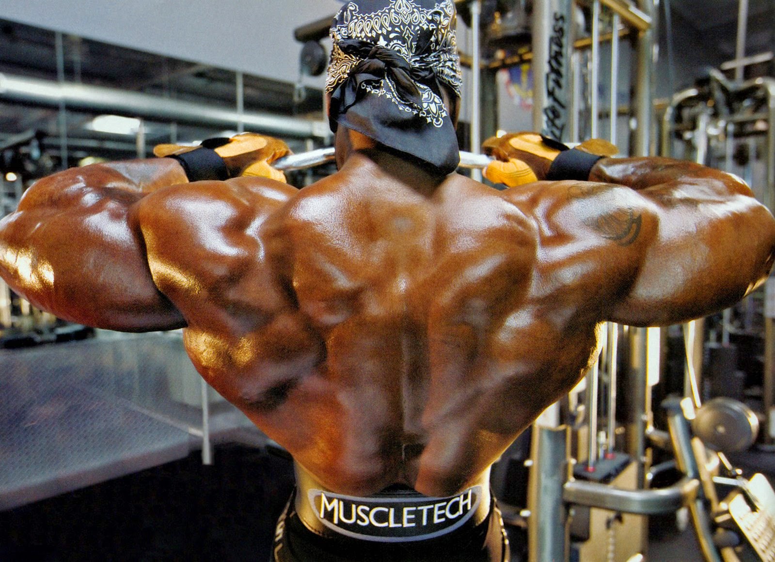 the beauty of male muscle: October 2014