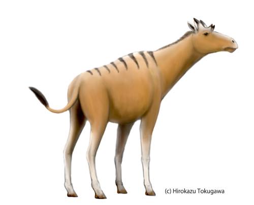 Hirokazu Tokugawa's Paleo Sculpture: Shansitherium