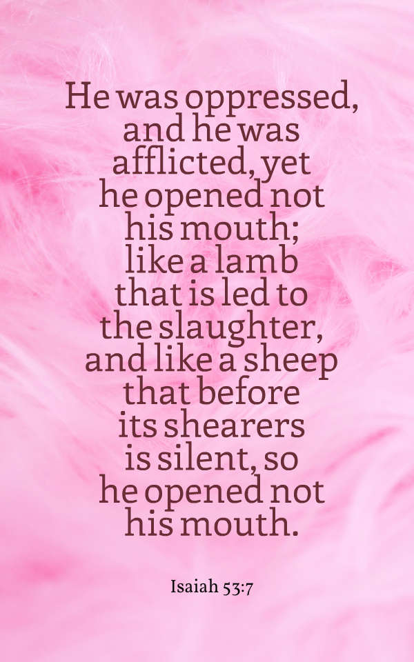 Daily Grace, Todays Godly Reminder , Bible Quotes, Verses, Prayers ...