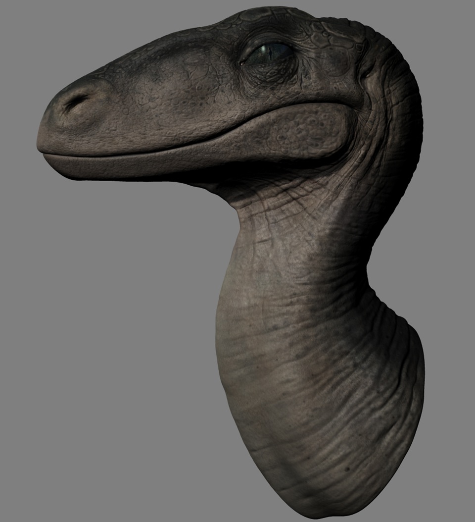 Model Night: May 2013