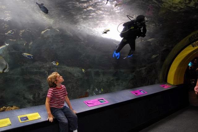 Photography by David Raphael Biren: SCUBA Diver and Children