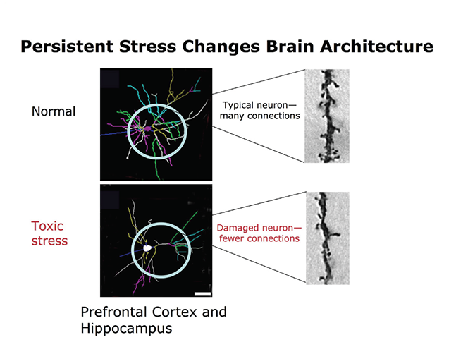 Why Can't We See That Separating Children from Parents Is Simply Wrong