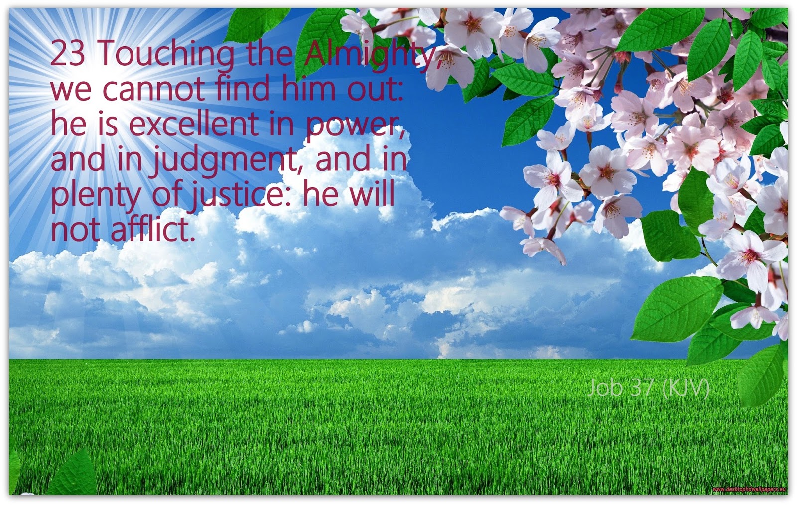 Red Pill Diaries: Job 37 (KJV)